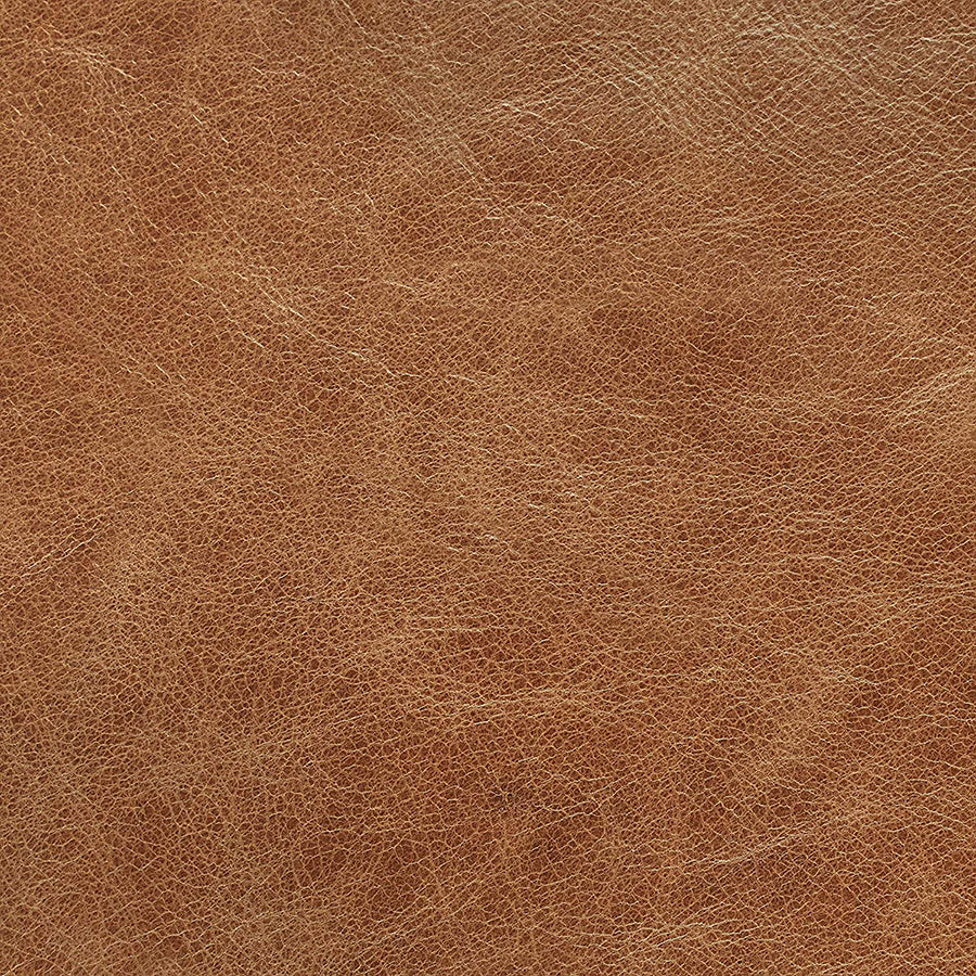 Camel Skin Texture